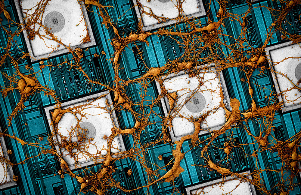Neuromorphic ‘Dream Chip’ Advances With Brain Science | DBR
